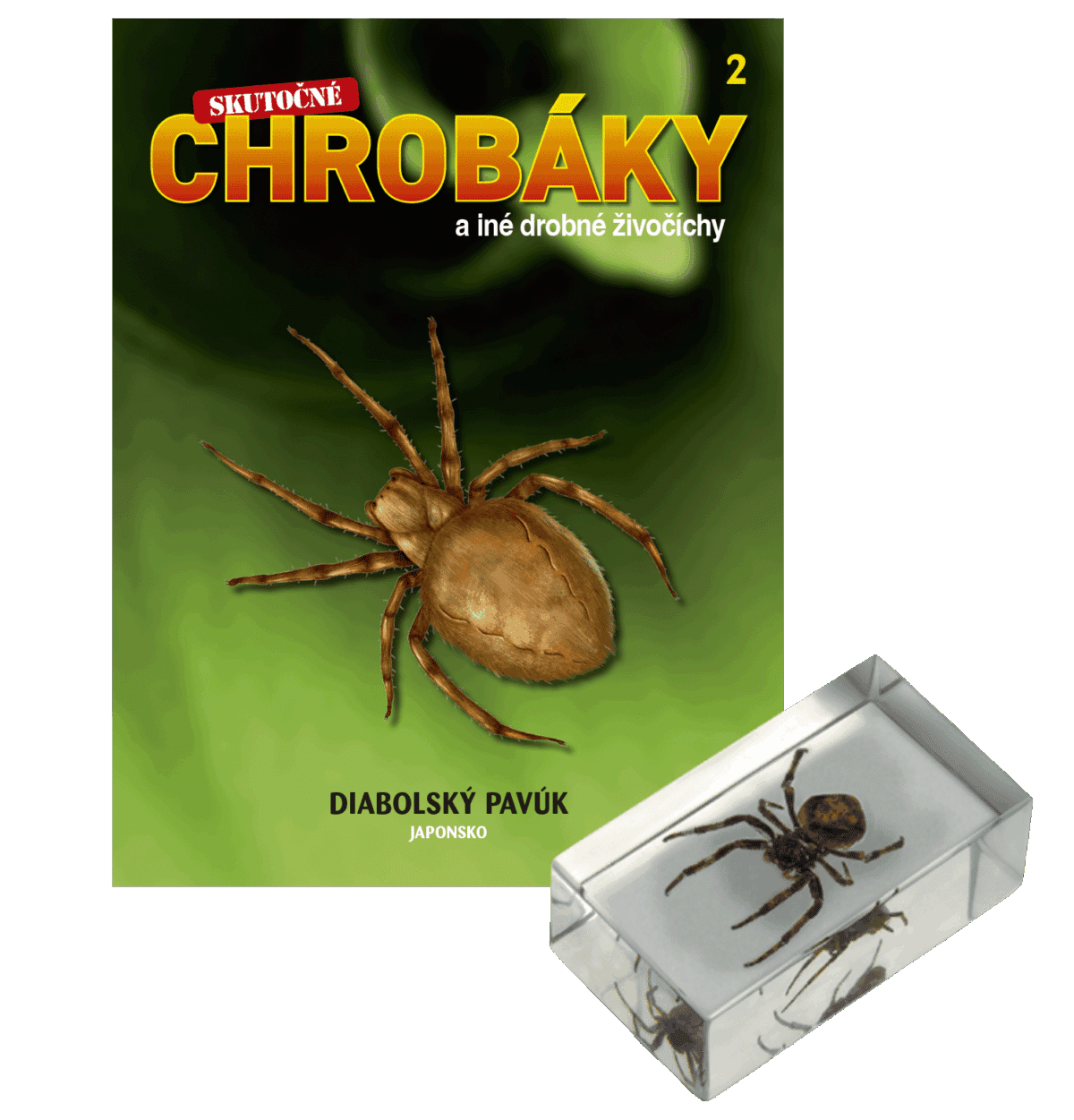 CHROBÁKY A INÉ DROBNÉ ŽIVOČÍCHY - RBA